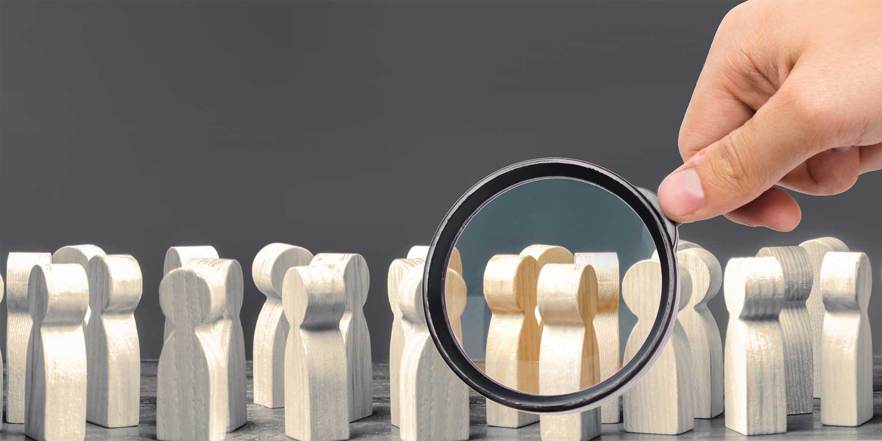 Synthetic population for tax fraud detection testing - Skymantics